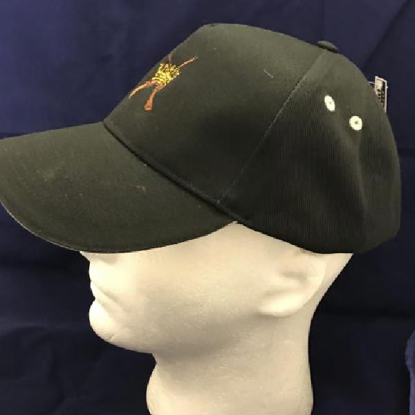 Home - RAF Regiment Heritage