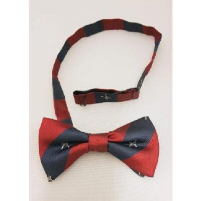 Crossed Rifles Silk Tie, RAF Regt. - RAF Regiment Heritage