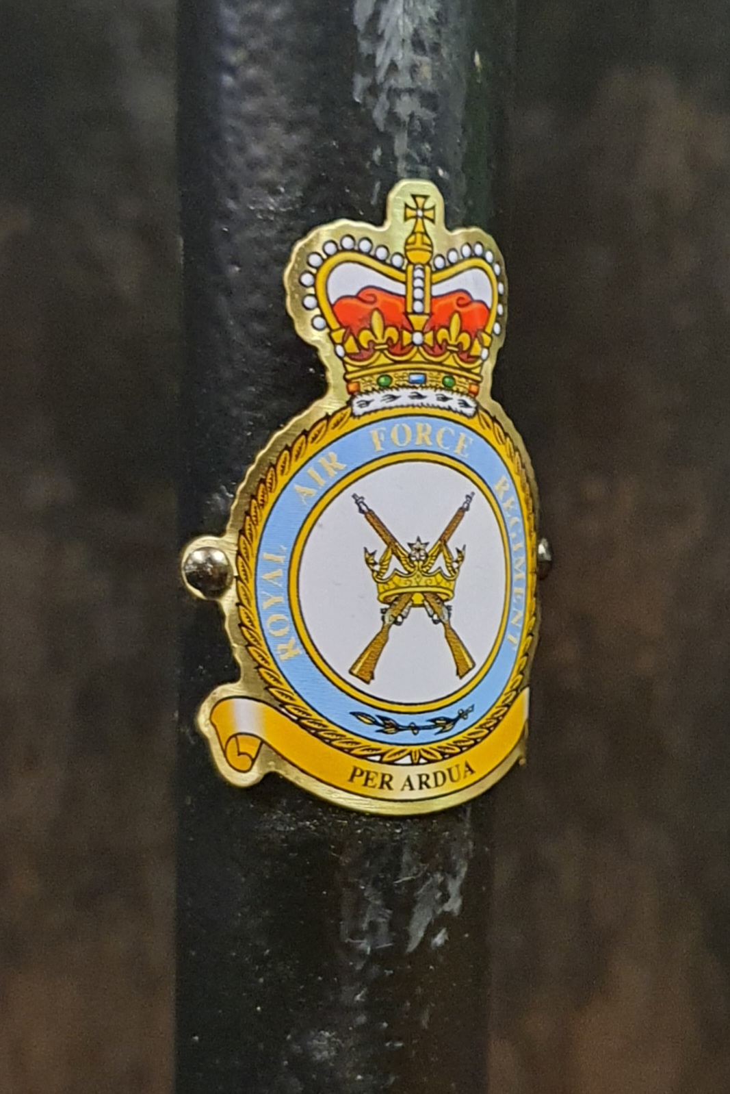 Walking Stick Badge - RAF Regiment Heritage