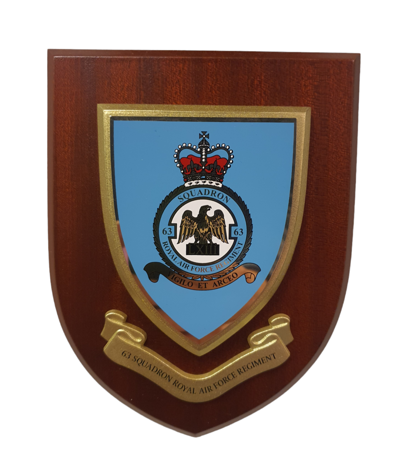 63 SQUADRON Plaque - RAF Regiment Heritage
