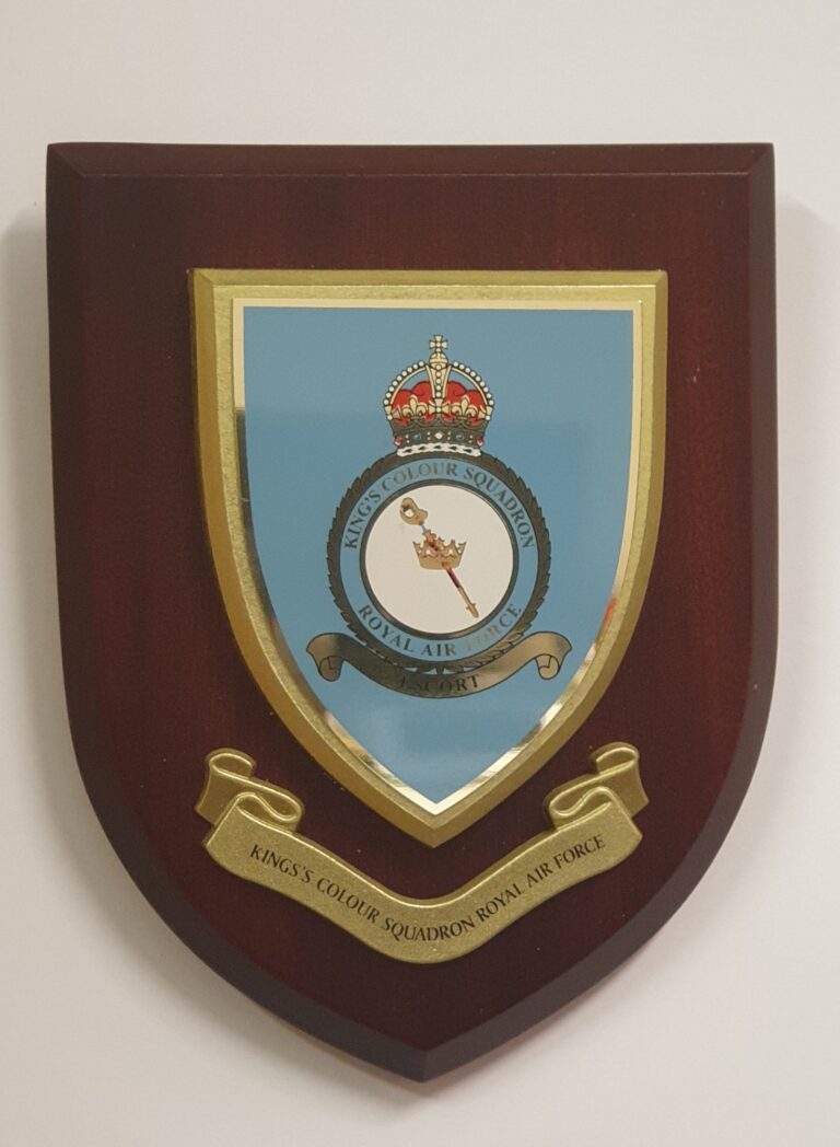 Kings Colour Squadron - RAF Regiment Heritage